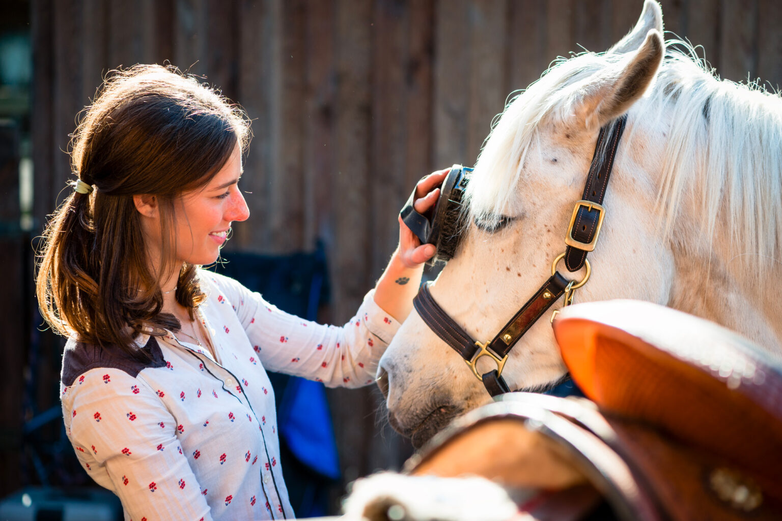 Formation cheval et activité hippique - MFR du Grand Est
